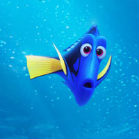 Infinity Guru - News - Finding Dory Play Set Confirmed